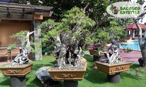 Resorts Negrense at Punta-taytay Bacolod City