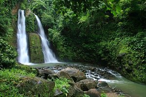 Top 5 Cities to Visit in Negros Occidental