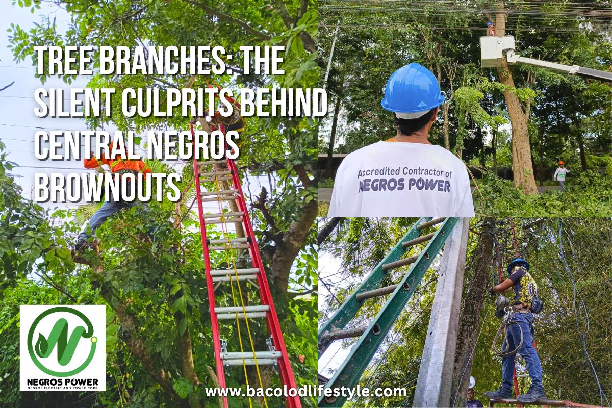Tree Branches: The Silent Culprits Behind Central Negros Brownouts ...